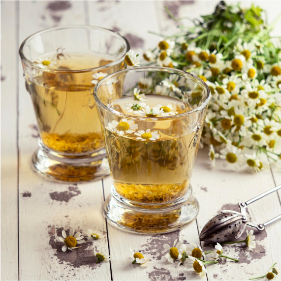 蟬茗｜最新消息